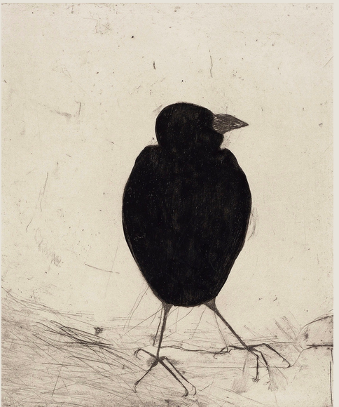Kate Boxer - Jackdaw - The Art Hound Gallery