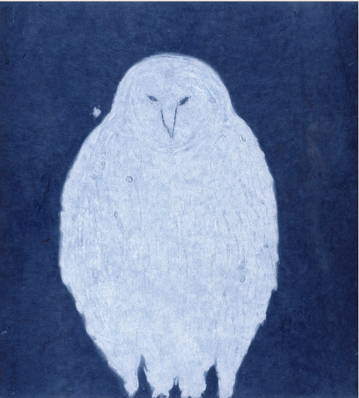 Kate Boxer - Owl - Night - The Art Hound Gallery