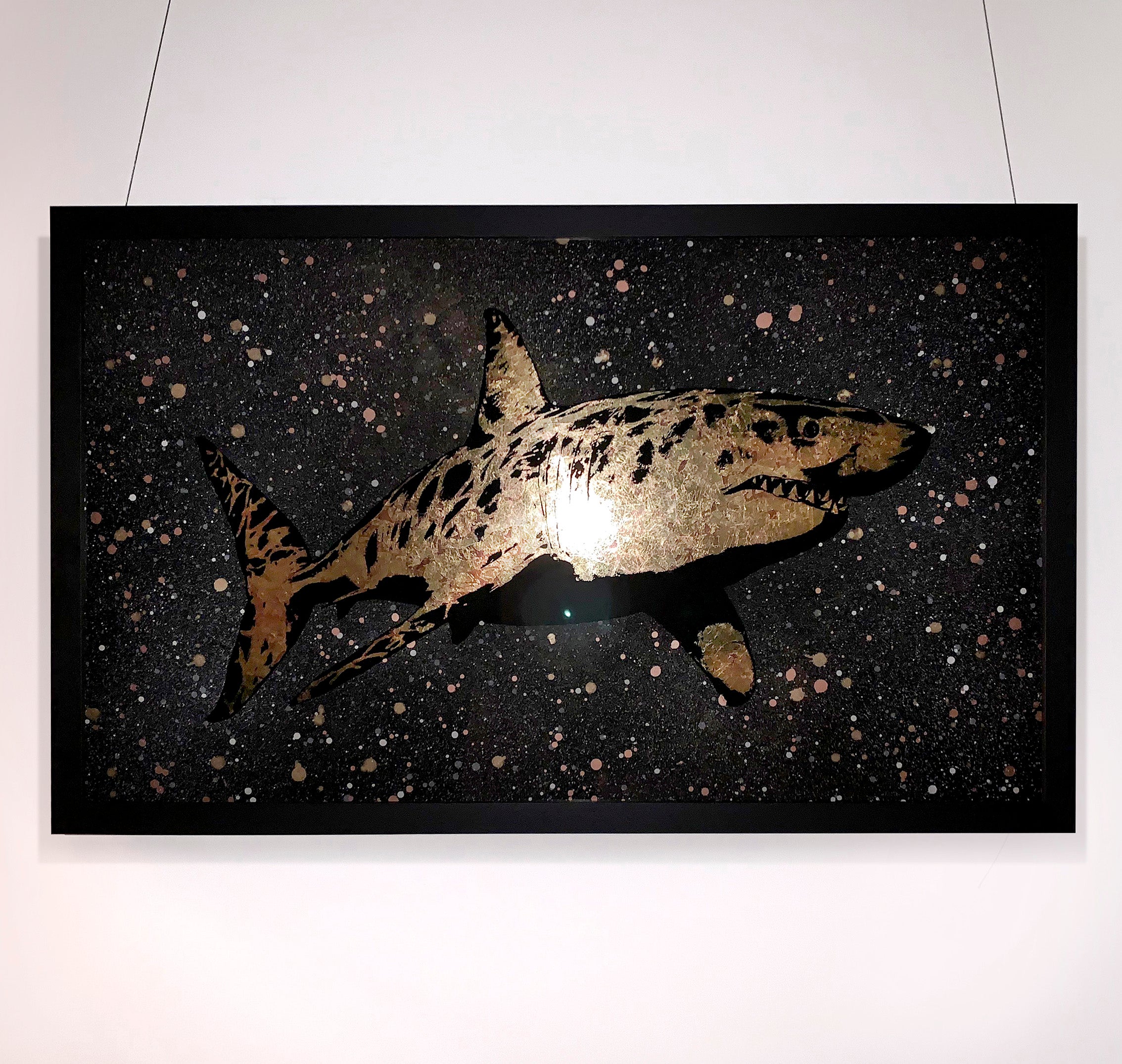 Mark Petty - Beautiful & Misunderstood - The Art Hound Gallery
